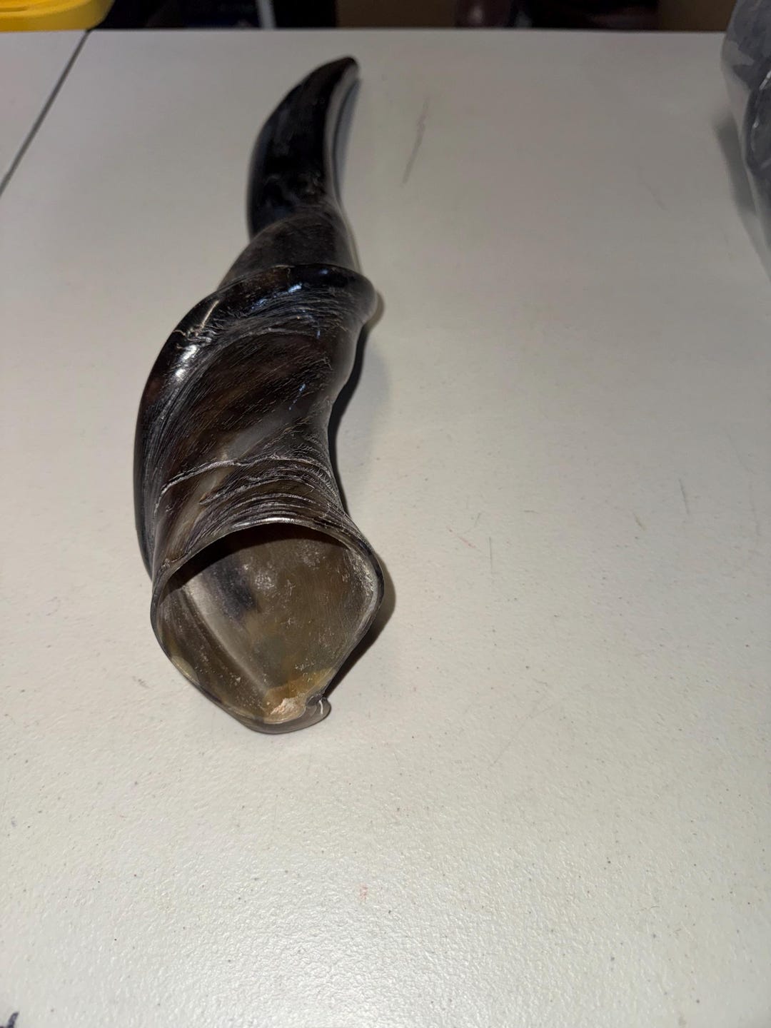Eland Shofar Horn XL 15”-25” Authentic New Kosher Made Half Polished ...