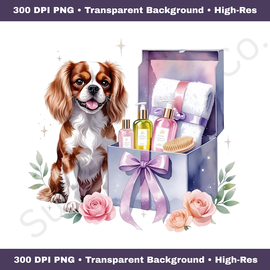 Cavalier King Charles Spa Day PNG: Dog Groomer Clipart (digital ...