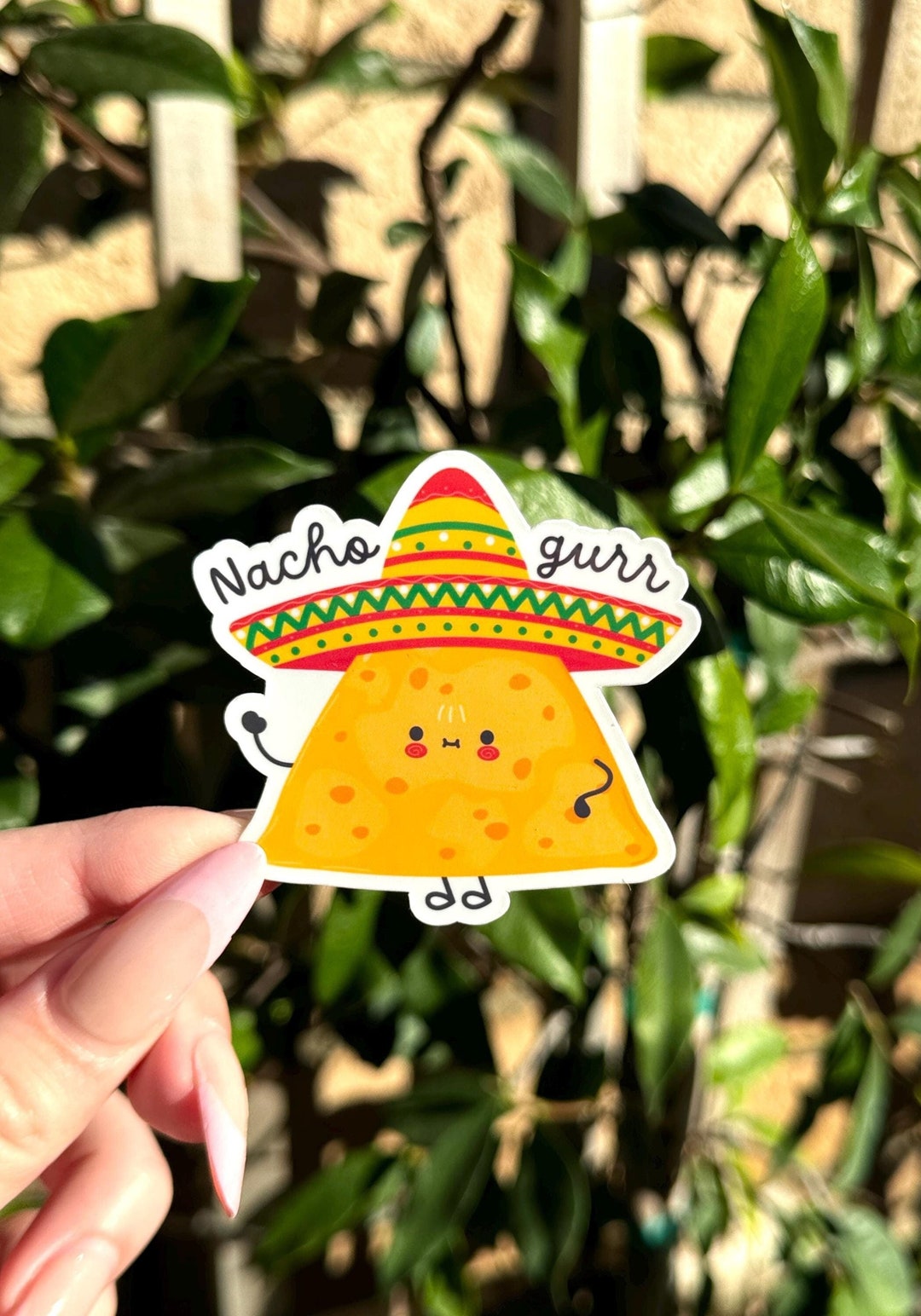 Nacho Girl Sticker | Latina Cute Sticker | Cute Sticker for Notebooks ...