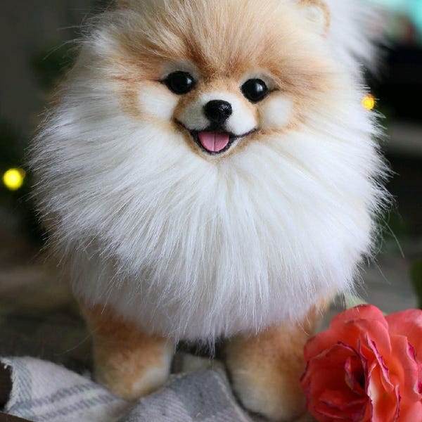 Pomeranian Gift - 60+ Gift Ideas for 2025