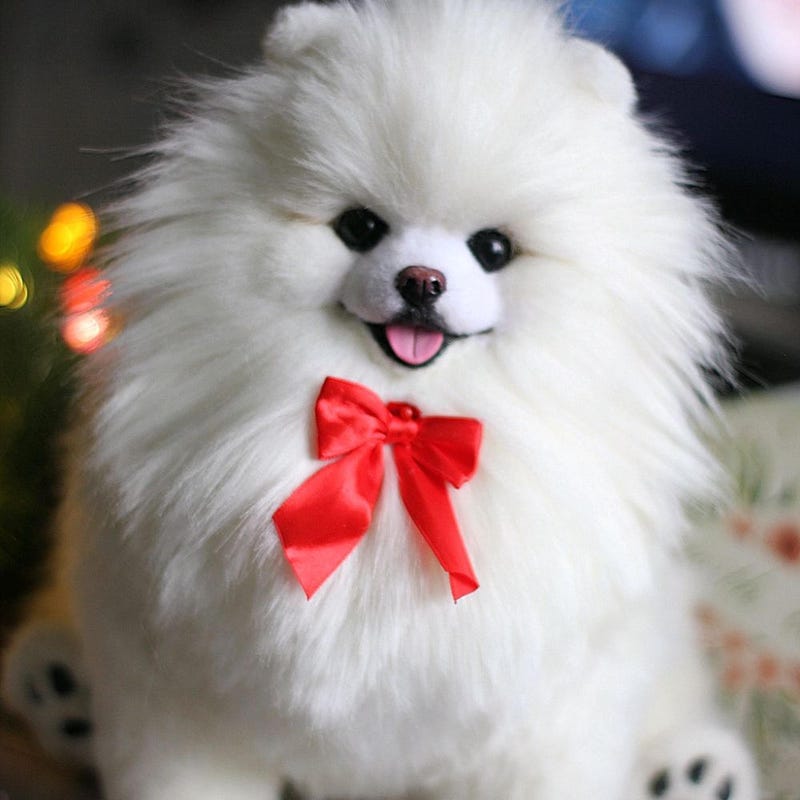 Pomeranian Plush - Etsy
