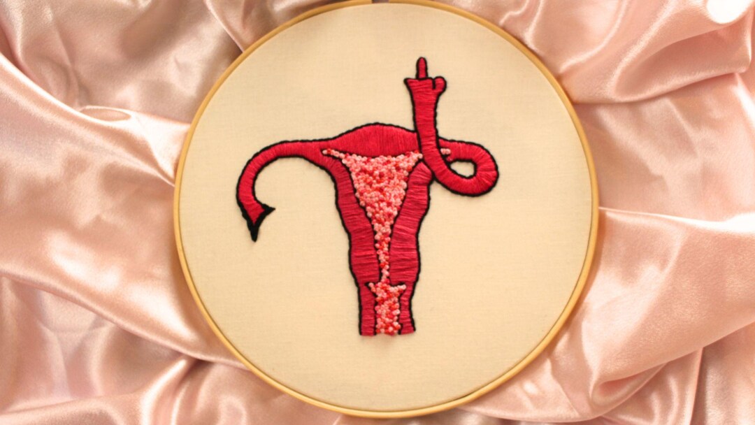 Finished Embroidery Art Hoop - Feminist Protest - Etsy