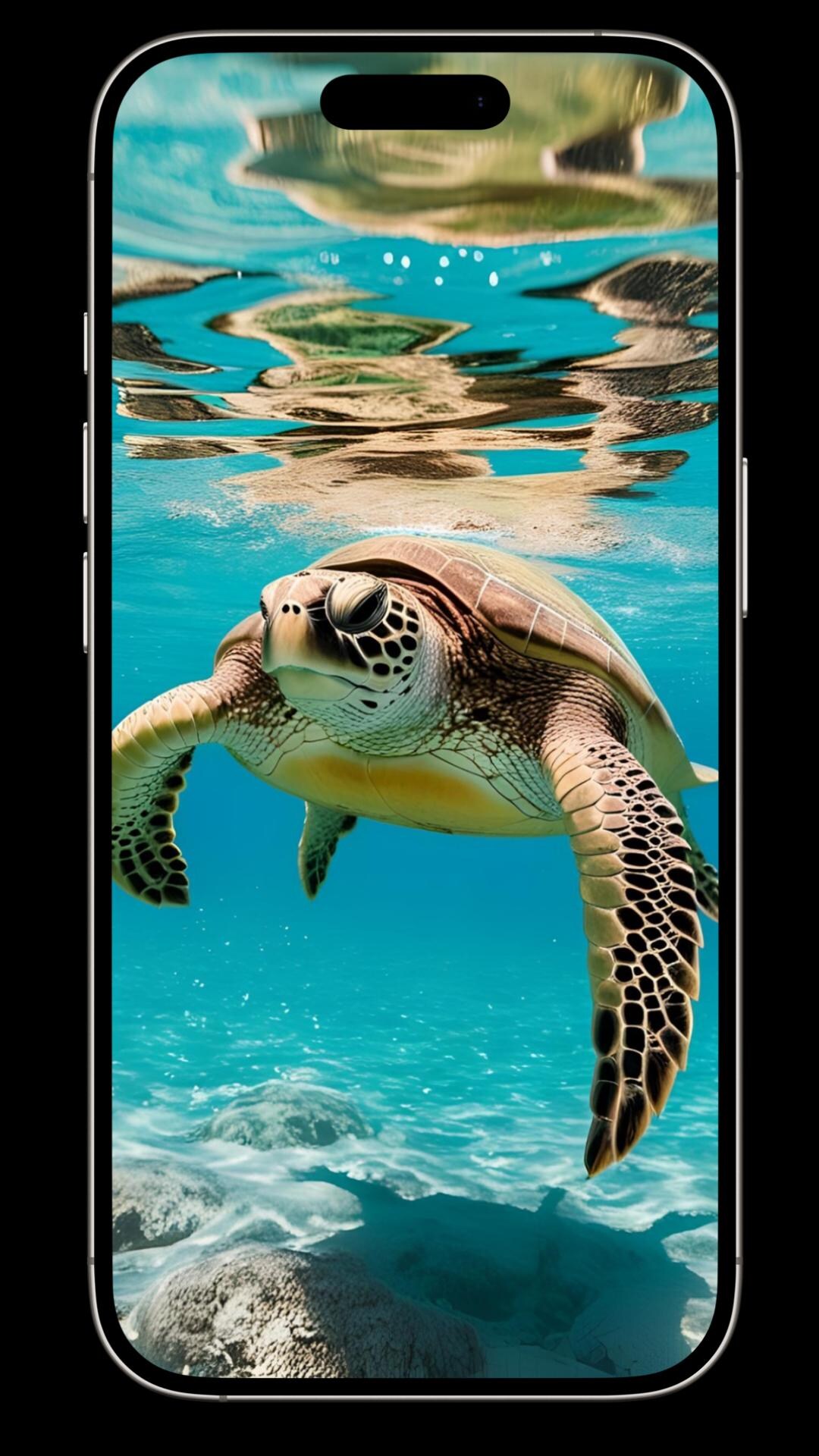 Underwater Sea Turtle Phone Wallpaper: Ocean Marine Life (digital ...
