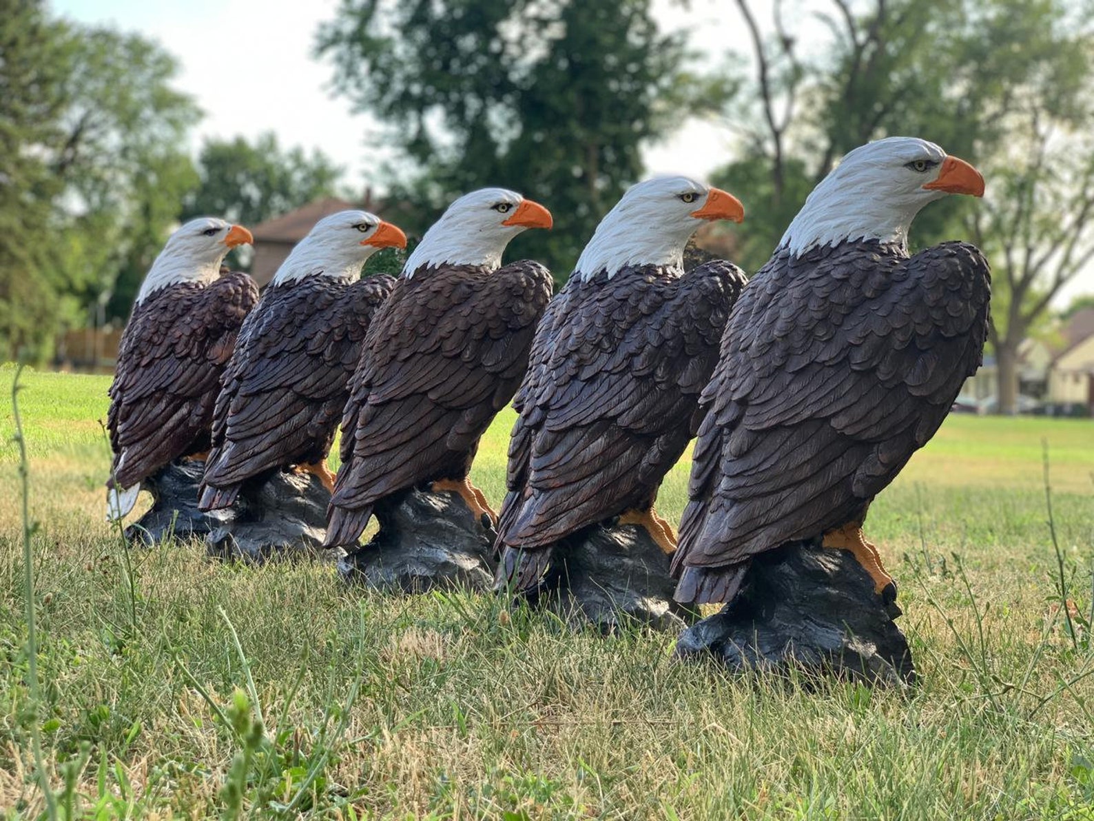 American Bald Eagle Statue ,24" Solid Concrete Life-size Outdoor/indoor ...