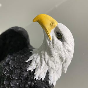 Black American Bald Eagle Statue 24" Solid Concrete Life-size, Outdoor ...