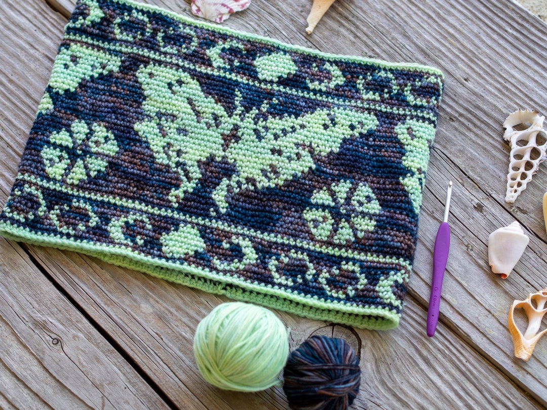 Luna Moth Crochet Cowl Pattern: DK Weight Colorwork (PDF Pattern) - Etsy