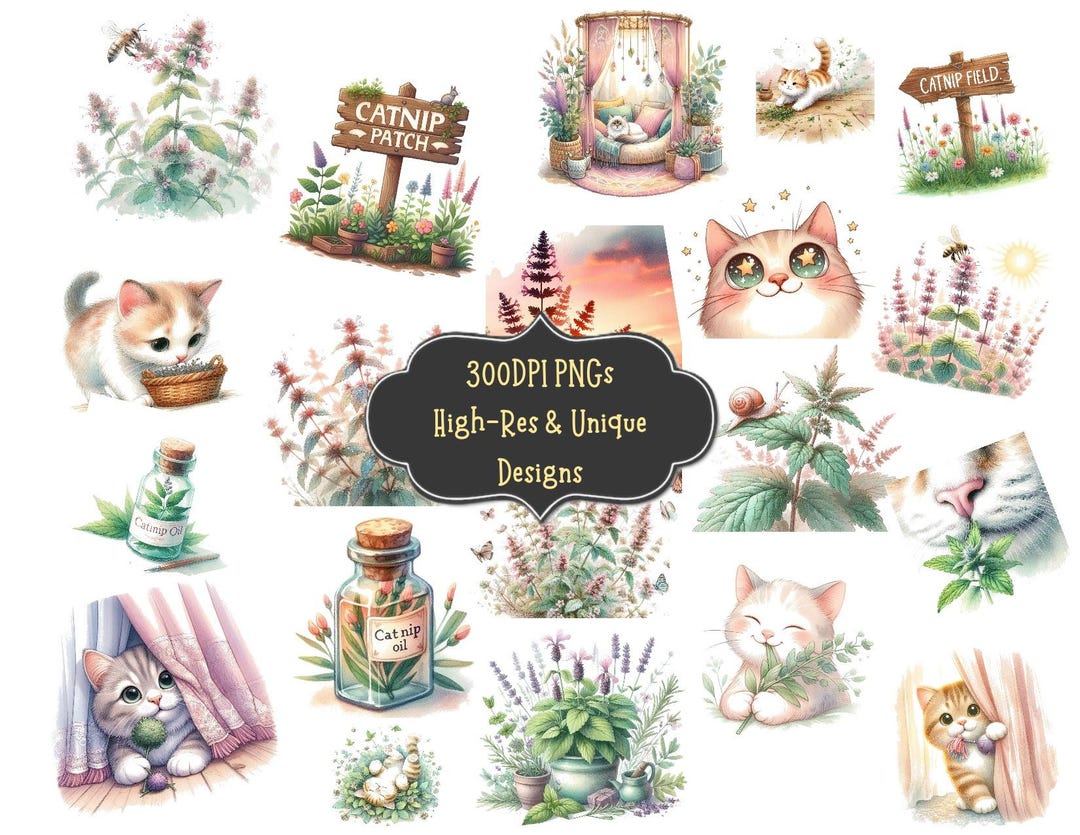 62 Catnip Watercolor Clipart PNG Bundle: High-resolution PNG Files for ...