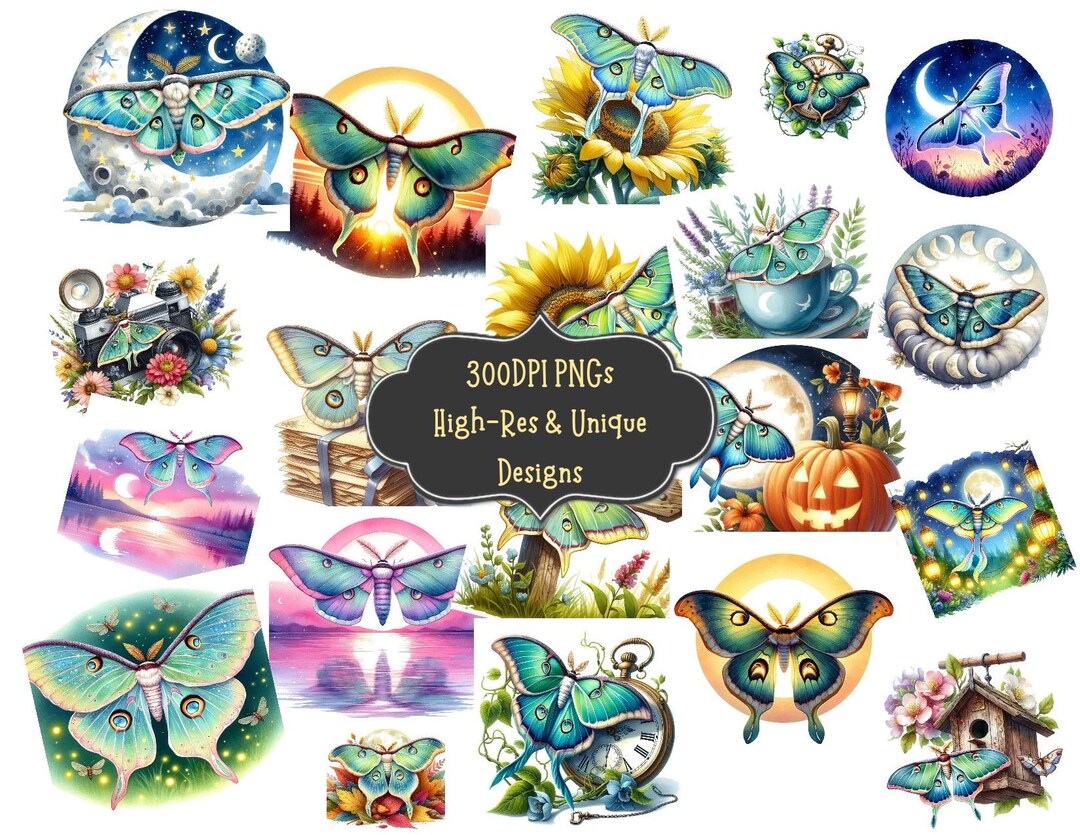 Luna Moth Watercolor Clipart: PNG Bundle (digital Download) - Etsy ...