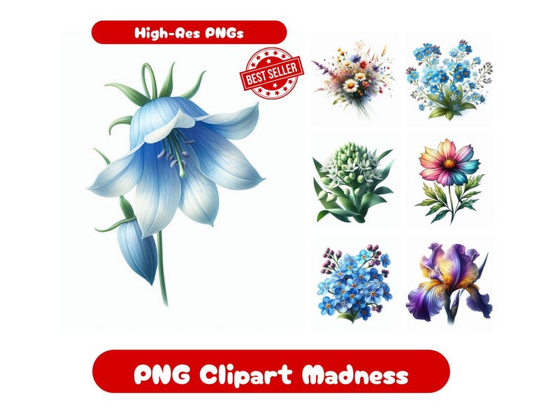 57 Watercolor Wildflower Clipart PNG Set, Clipart Bundle Printable ...