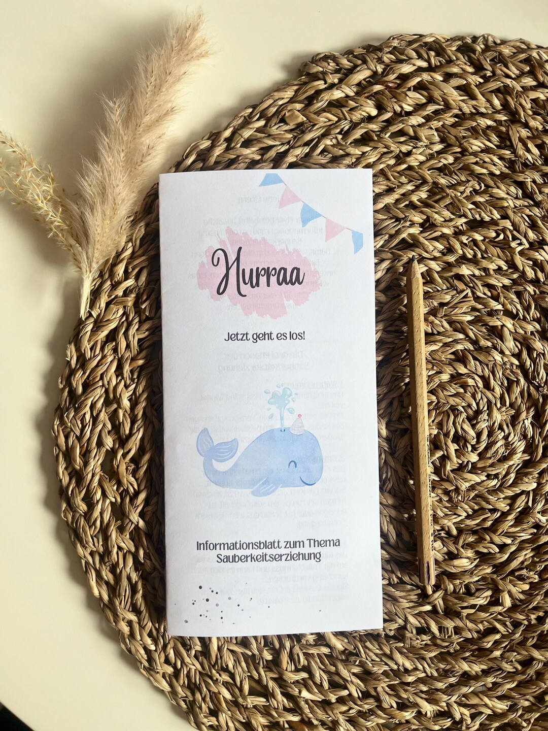 Flyer on Toilet Training - Etsy