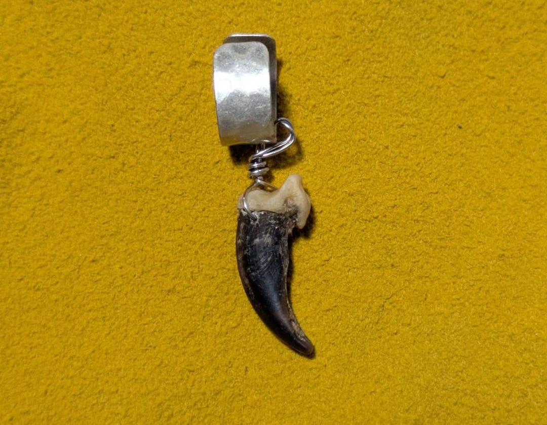Real Single Coyote Claw on Silver-plated Brass Ear Cuff - Etsy