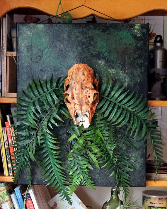 Pacific Northwest Tree Octopus Poster