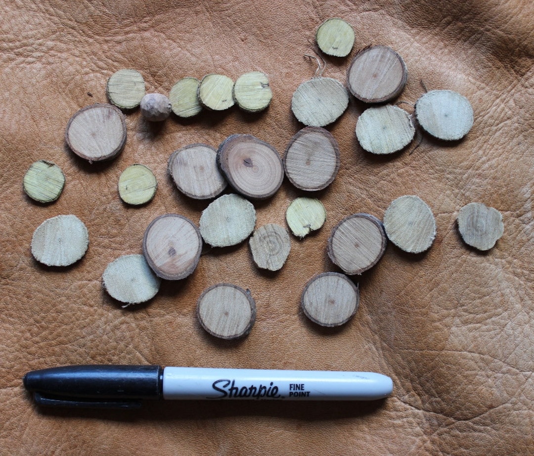 Lot of Rustic Wood Tree Branch Slices for Crafts, Jewelry, Carving ...