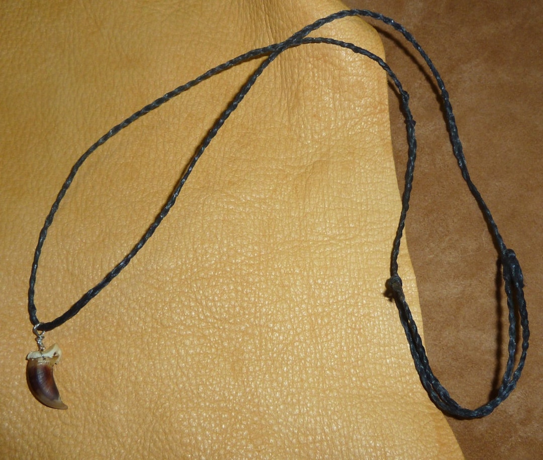 Coyote Claw Necklace - Real Coyote Claw on Hand-braided Adjustable Cord ...