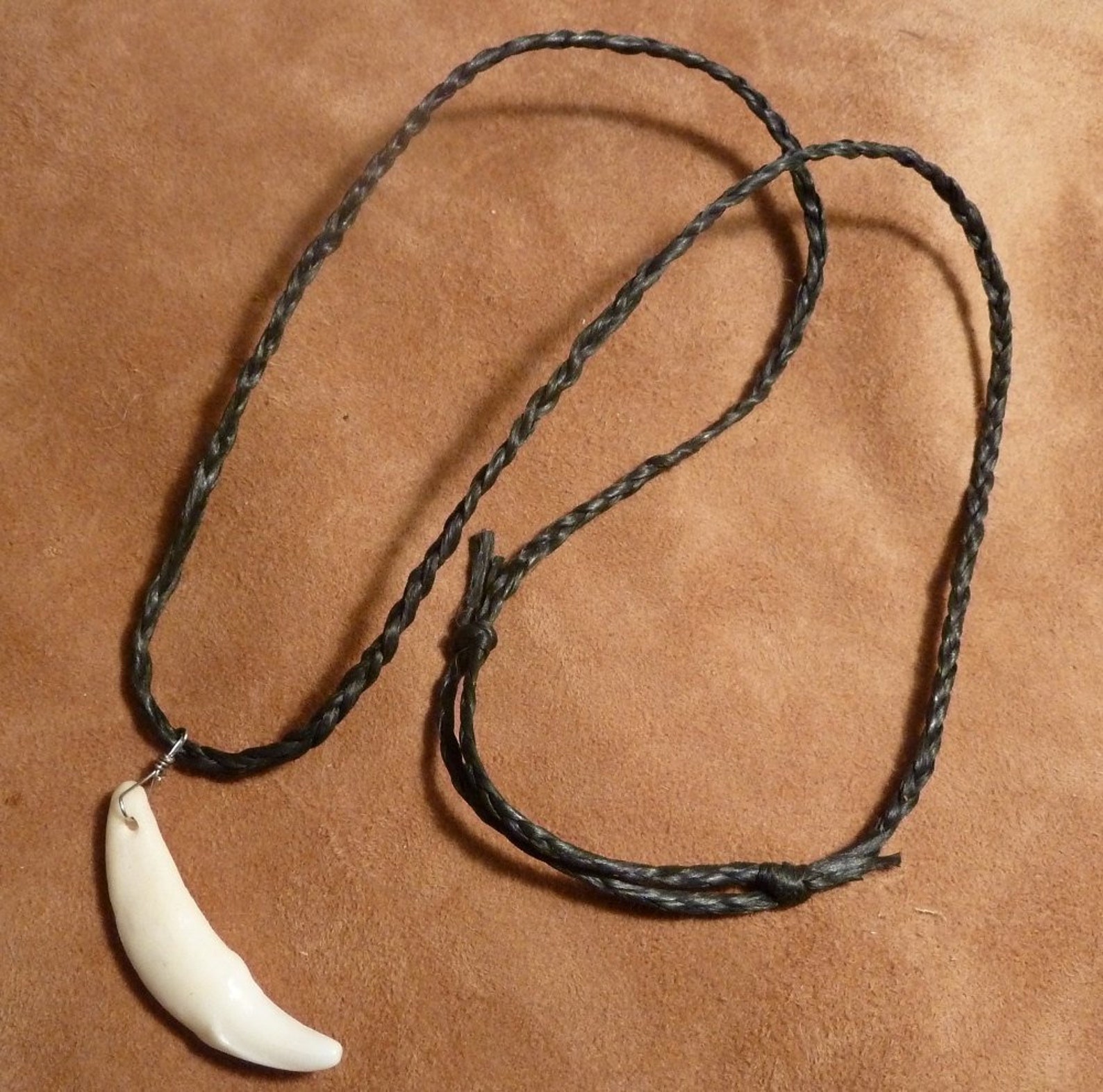 Coyote Fang Necklace Real Coyote Tooth on Hand-braided - Etsy