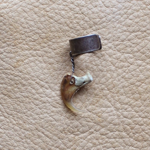 Real Single Red Fox Claw on Silver-plated Brass Ear Cuff - Etsy