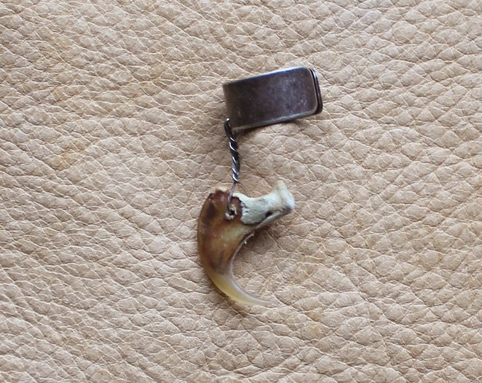 Real Single Bobcat Claw on Silver-plated Brass Ear Cuff - Etsy