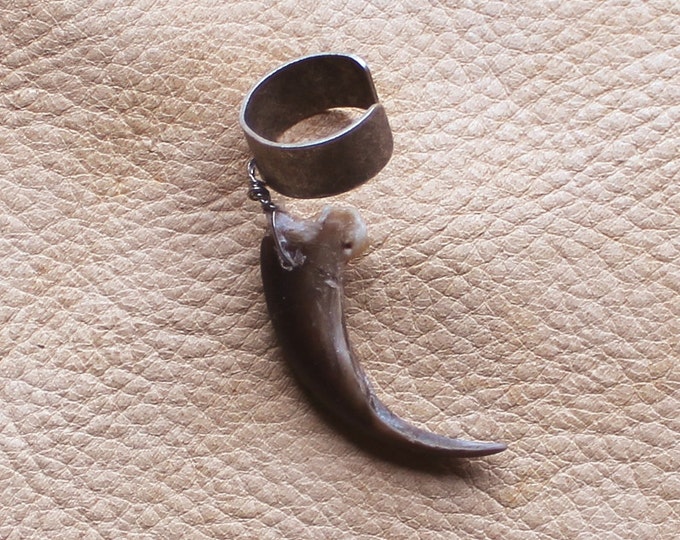 Real Single Porcupine Claw on Silver-plated Brass Ear Cuff - Etsy