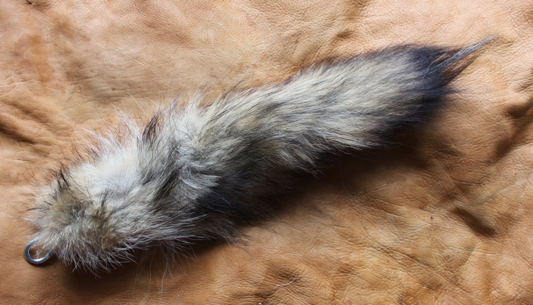 Coyote Tail Real Eco-friendly Coyote Fur Tail on Extra - Etsy