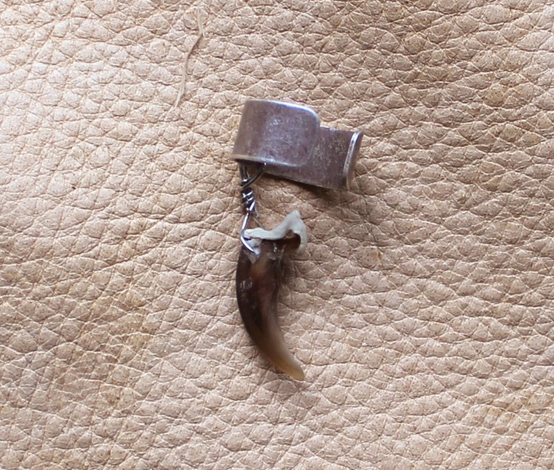 Real Single Red Fox Claw on Silver-plated Brass Ear Cuff - Etsy