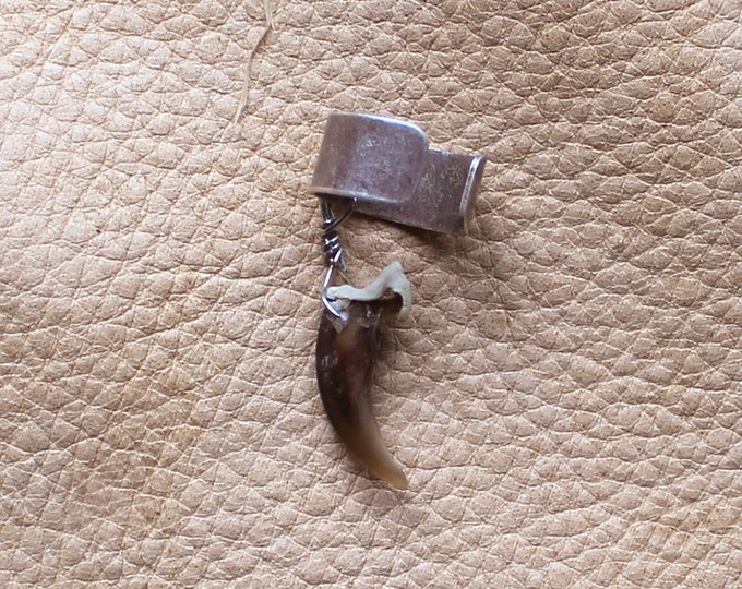 Real Single Red Fox Claw on Silver-plated Brass Ear Cuff - Etsy