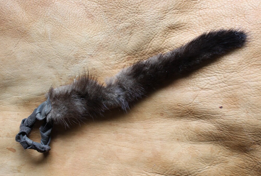 Ringworm In Cats Tail