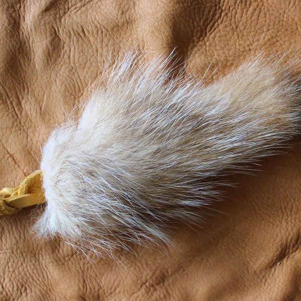 American Badger - Etsy