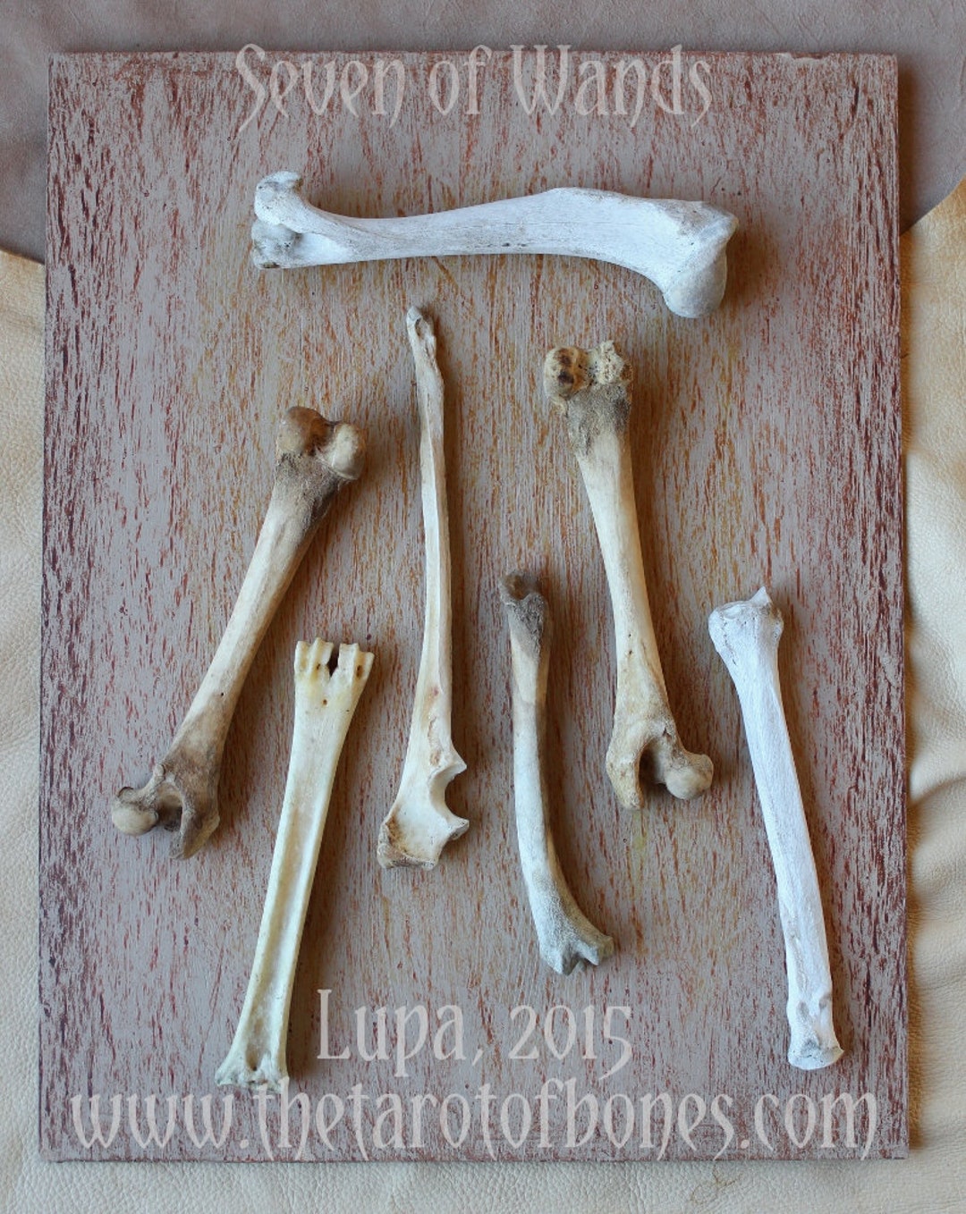 Seven of Wands - Tarot of Bones Original Assemblage - Real Bones OOAK ...