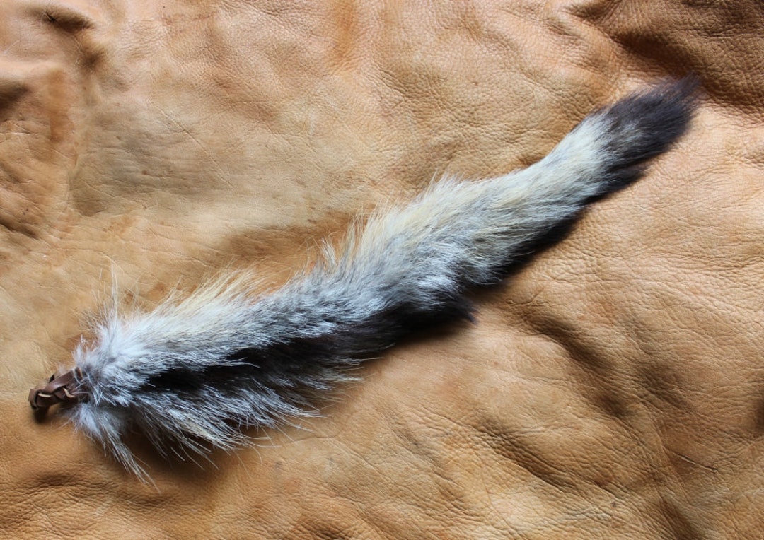 Fox Tail - Real Eco-friendly Gray Fox Fur Dance Tail on Extra Strong ...