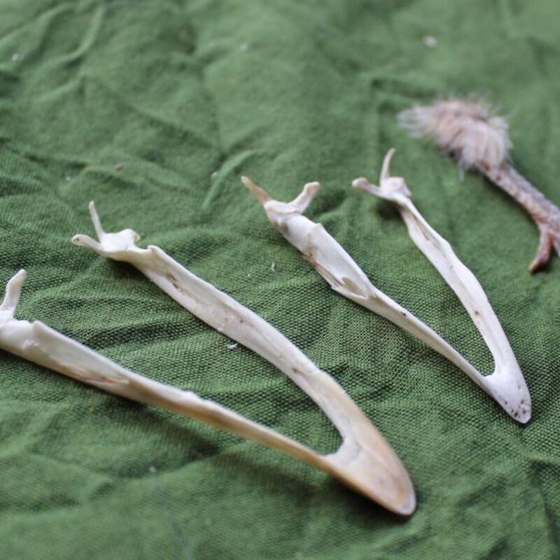thegreenwolf - Etsy