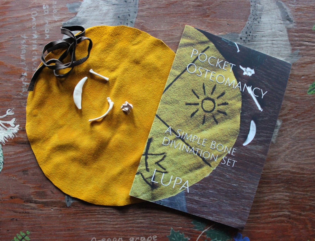 Pocket Osteomancy: A Simple Bone Divination Set Paperback Book, BLANK ...