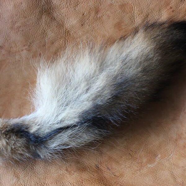 Coyote Tail - Etsy