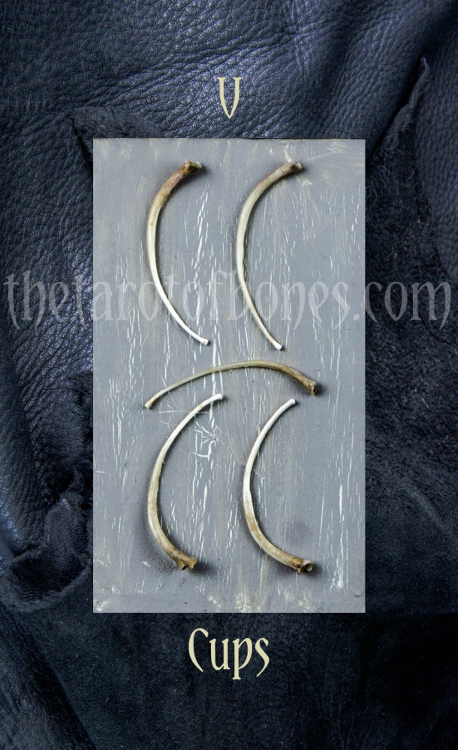 Five of Cups - Tarot of Bones Original Assemblage - Python Rib Bones ...