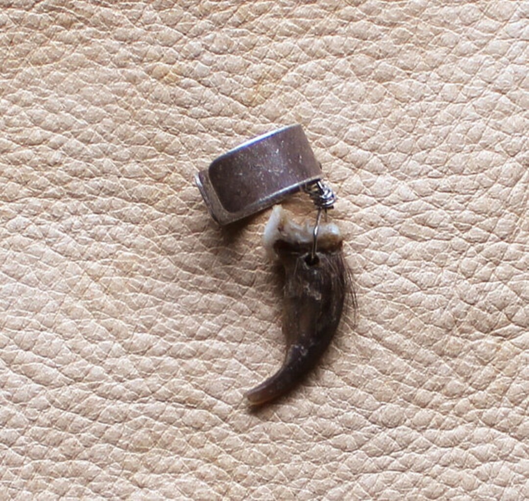 Real Single Coyote Claw on Silver-plated Brass Ear Cuff - Etsy