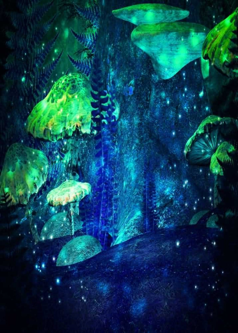 Magic Wonderland Backdrop Computer Printed Photography | Etsy