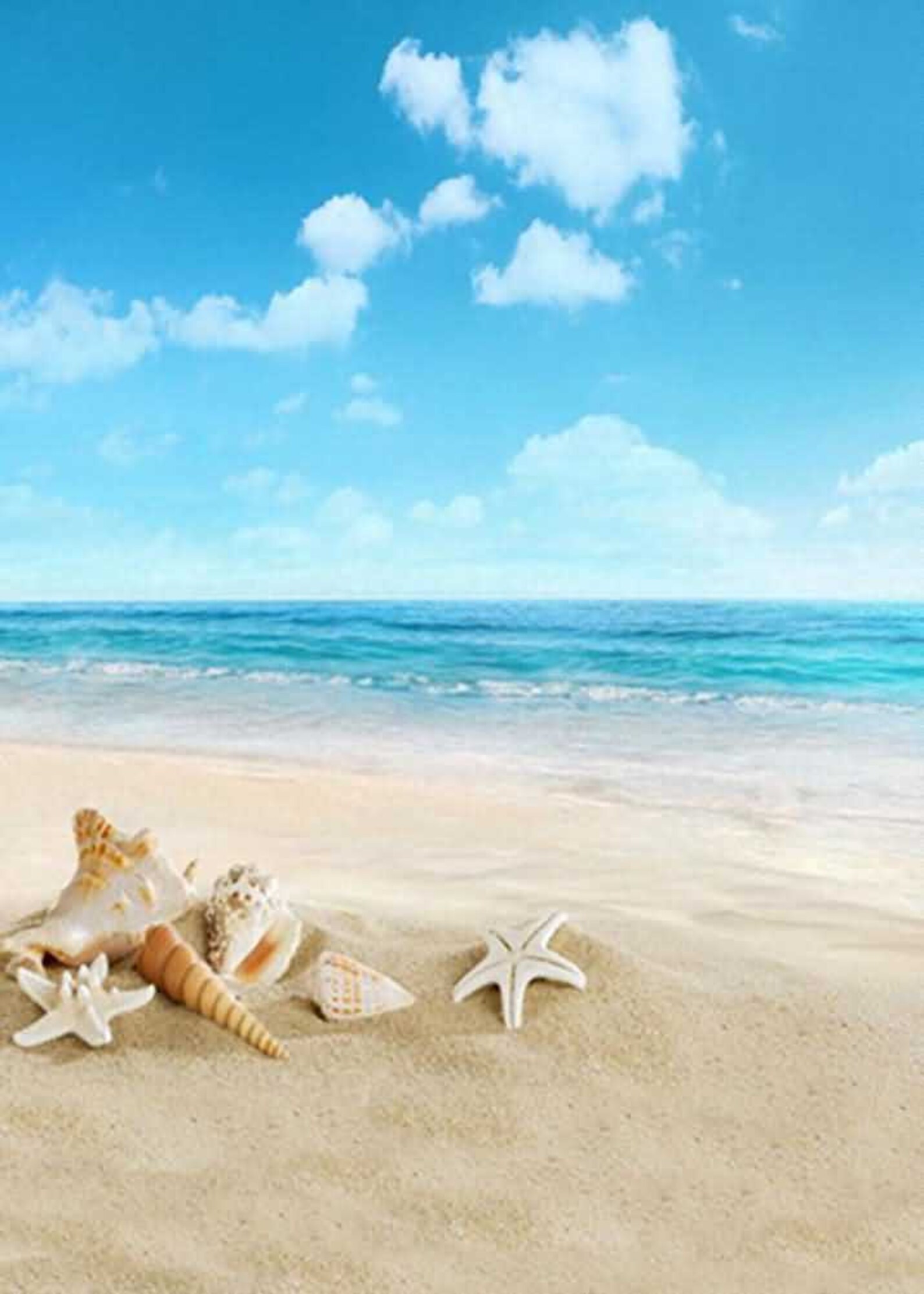 Cute Beach Backdrop Computer Printed Photography Background | Etsy