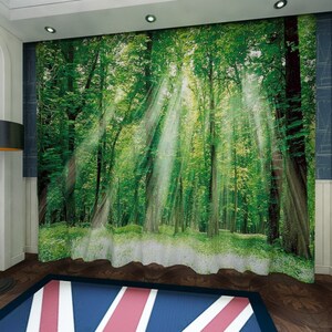 Sunshine Through the Woods Window Curtain Forest Theme Forests Sunshine ...