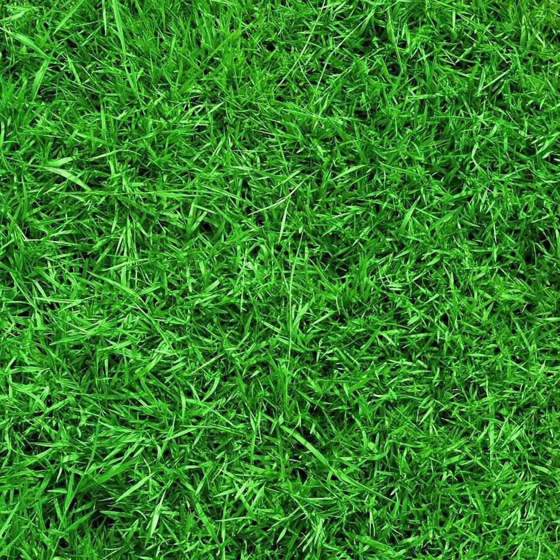 Green Grass Backdrop Computer Printed Photography Background | Etsy