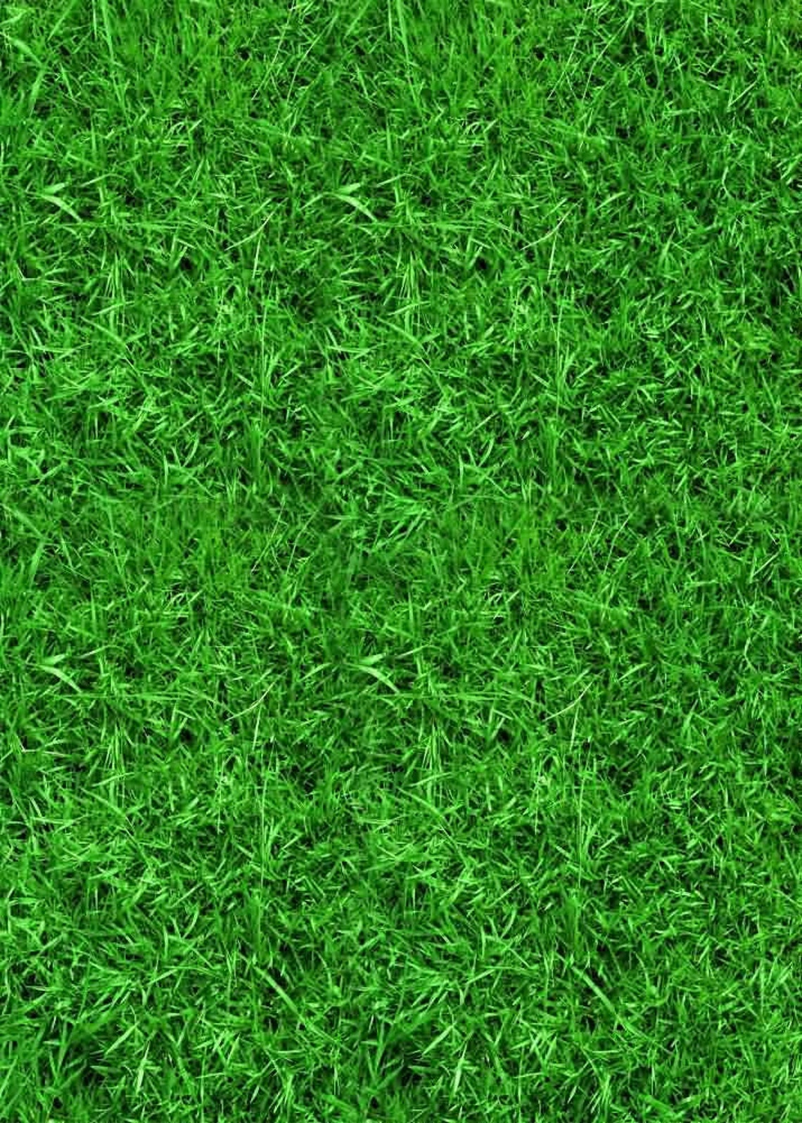 Green Grass Backdrop Computer Printed Photography Background - Etsy