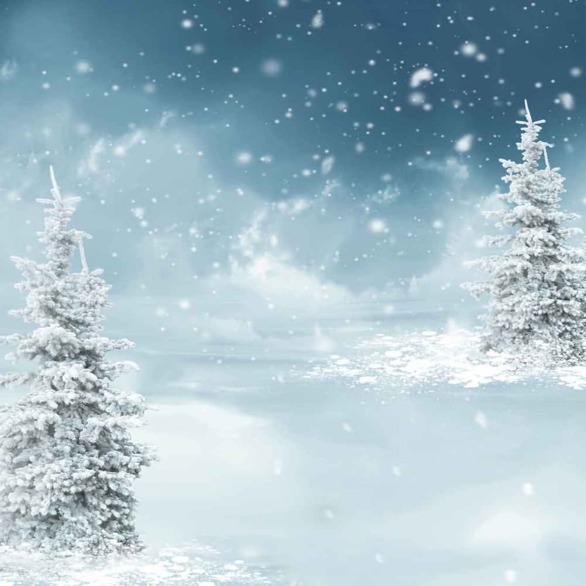 Romantic Snow Backdrop Computer Printed Photography Background | Etsy