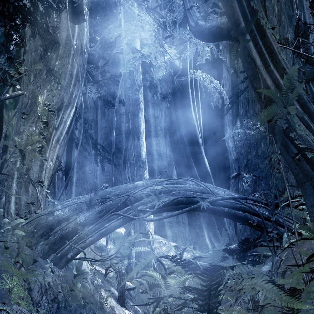 Terror Tree Grass Photography Computer Print Background Forest | Etsy