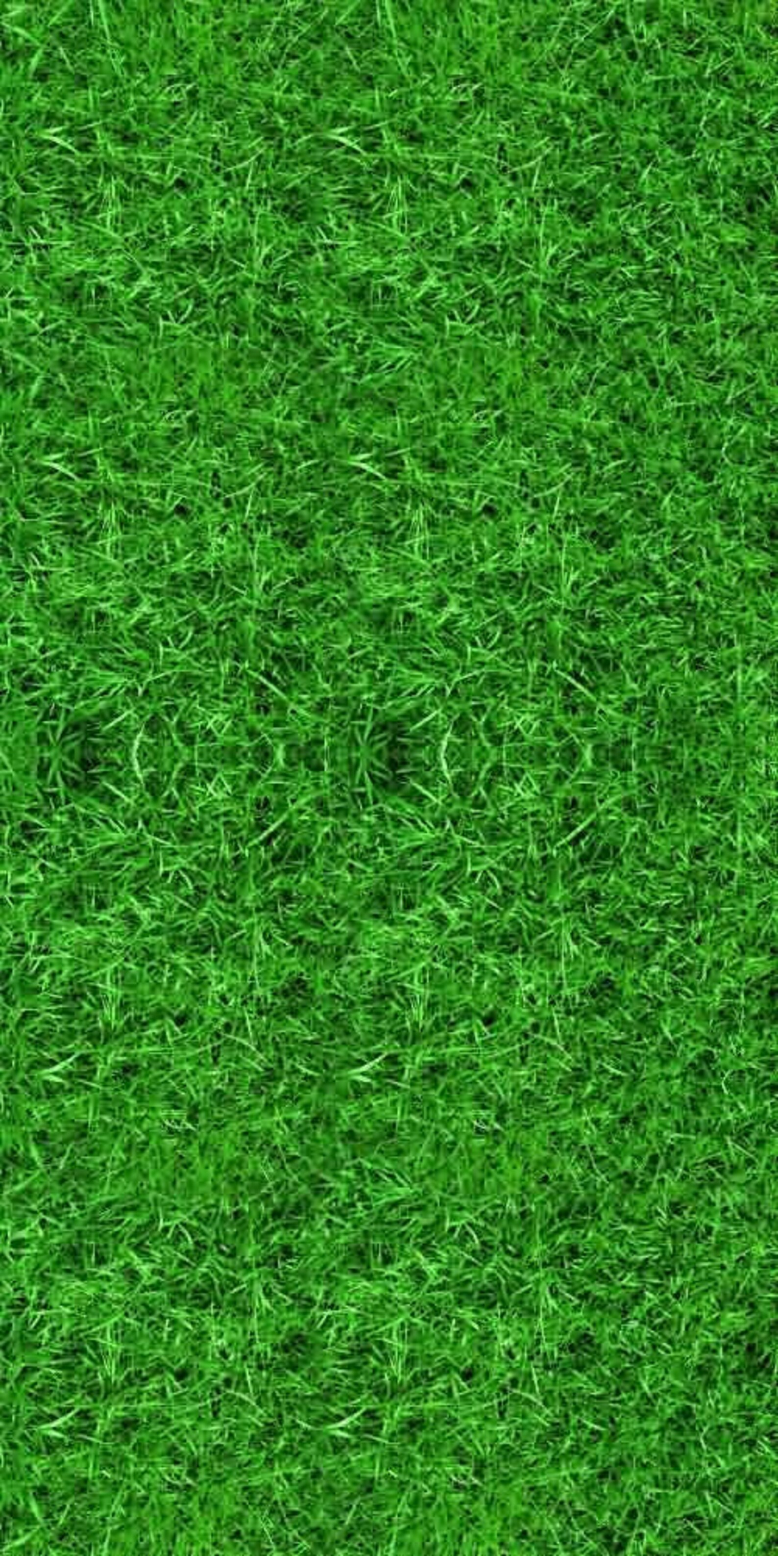 Green Grass Backdrop Computer Printed Photography Background | Etsy