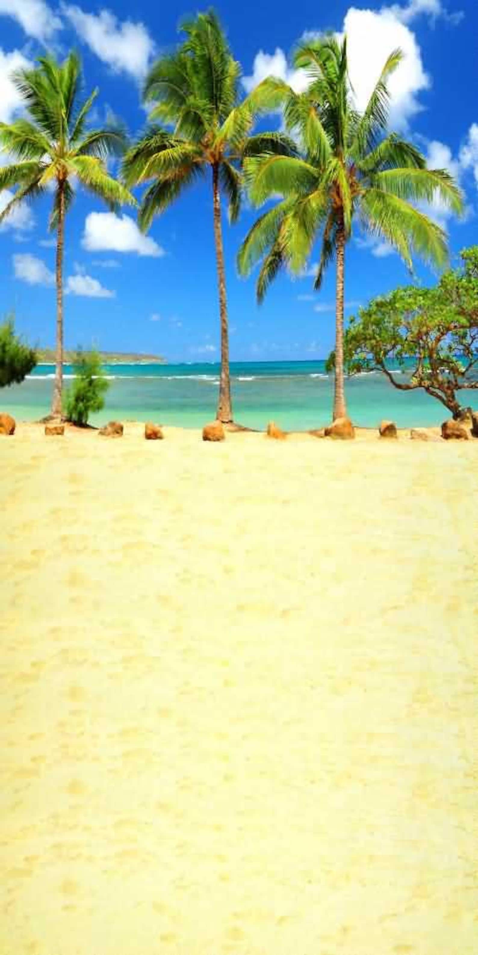Tropical Beach Backdrop Computer Printed Photography - Etsy