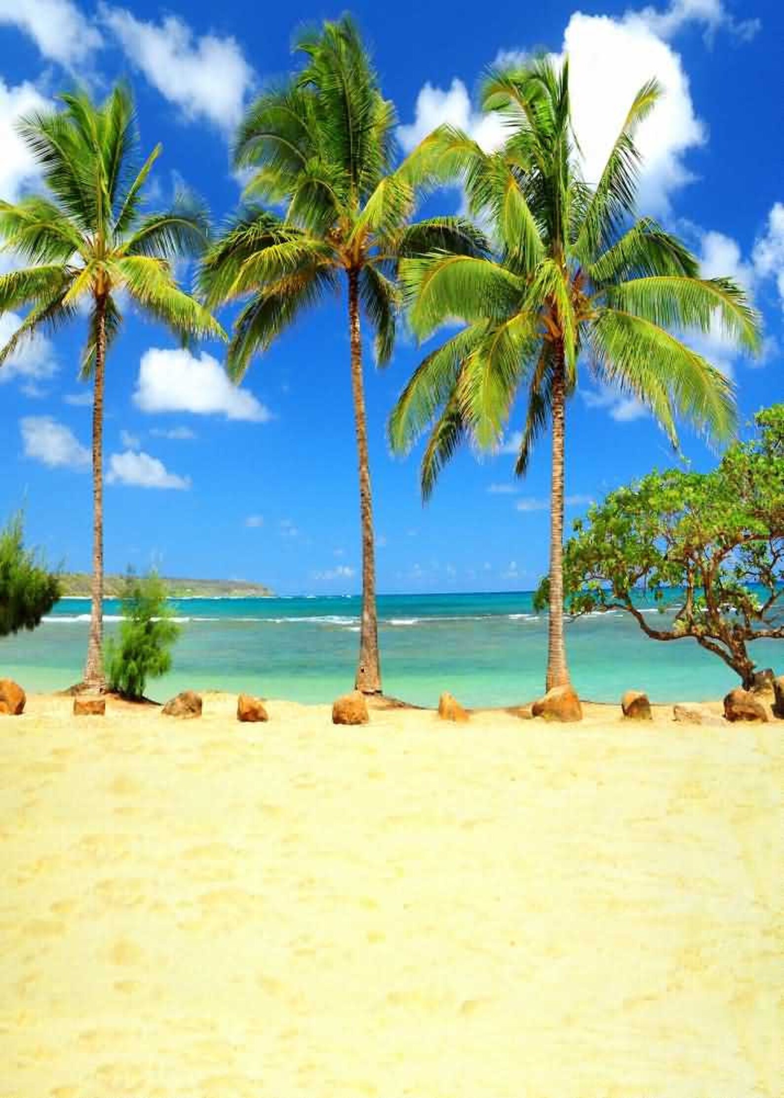 Tropical Beach Backdrop Computer Printed Photography - Etsy