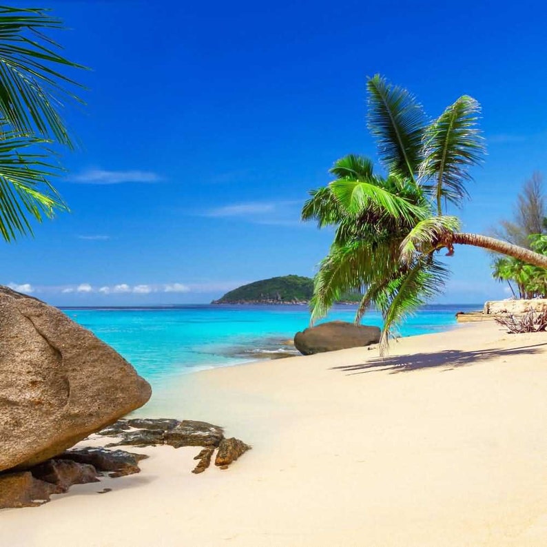 Sea Tree Sky Photography Computer Printed Background Seaside | Etsy