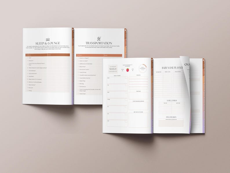 Digital Pregnancy Planner | Printable Pregnancy Plan, New Mom Planner ...