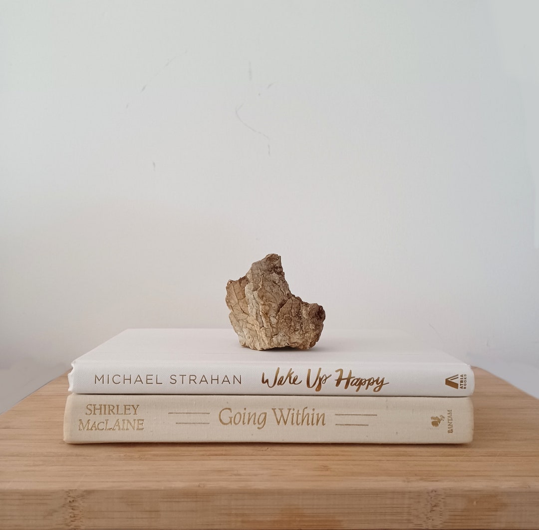 Ivory Book Set - Etsy