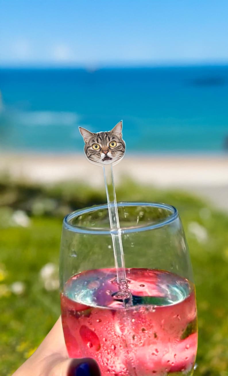 Custom Pet Portrait Stir Sticks | Acrylic Wedding Swizzle - Etsy UK