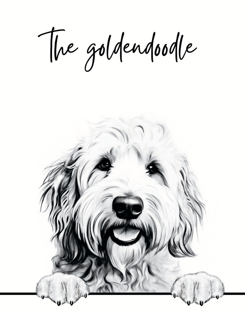 The Golden Doodle - Printable Art - 11 X 14 - Etsy