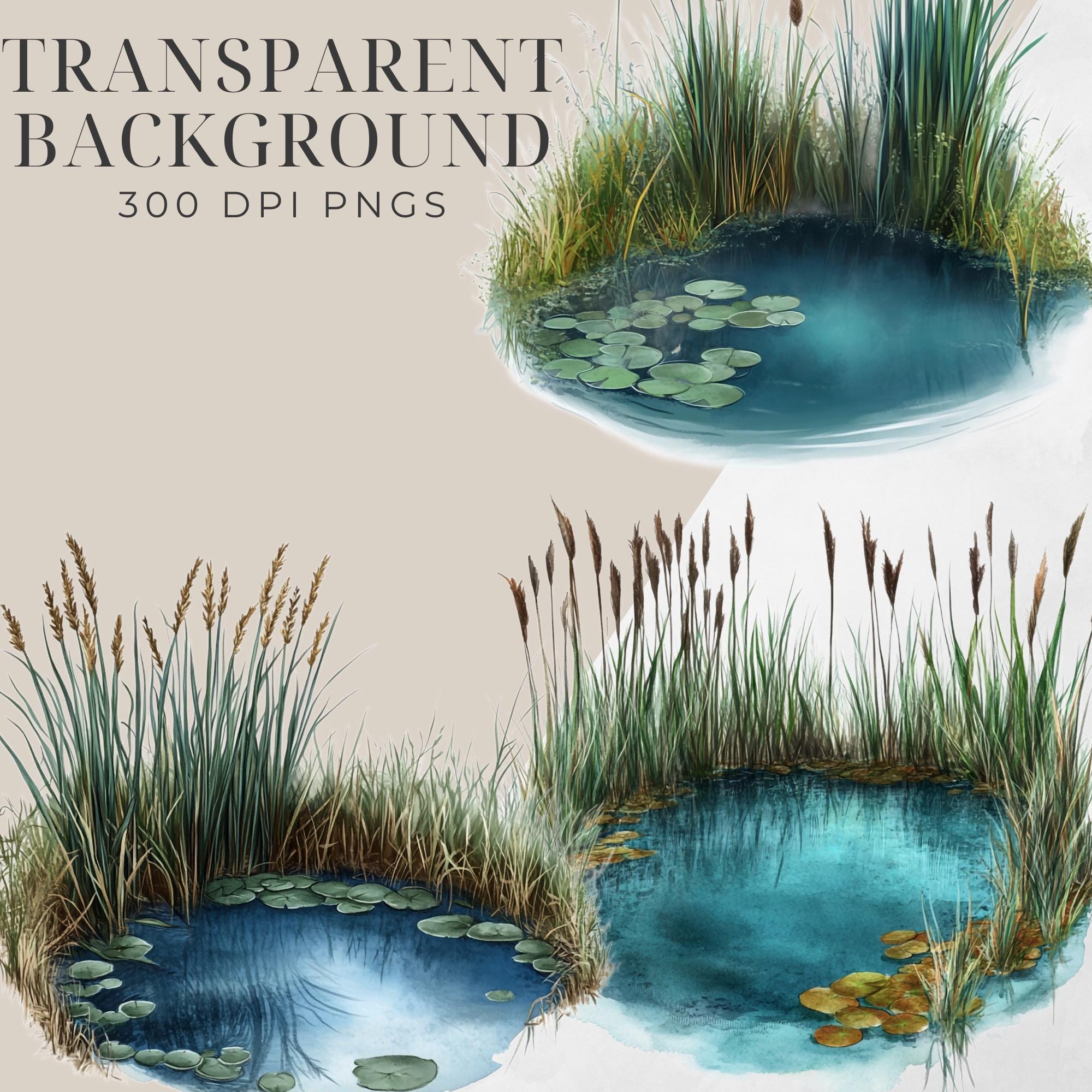 Watercolor Pond Clipart Pack | 300 DPI | Transparent Background | PNG ...